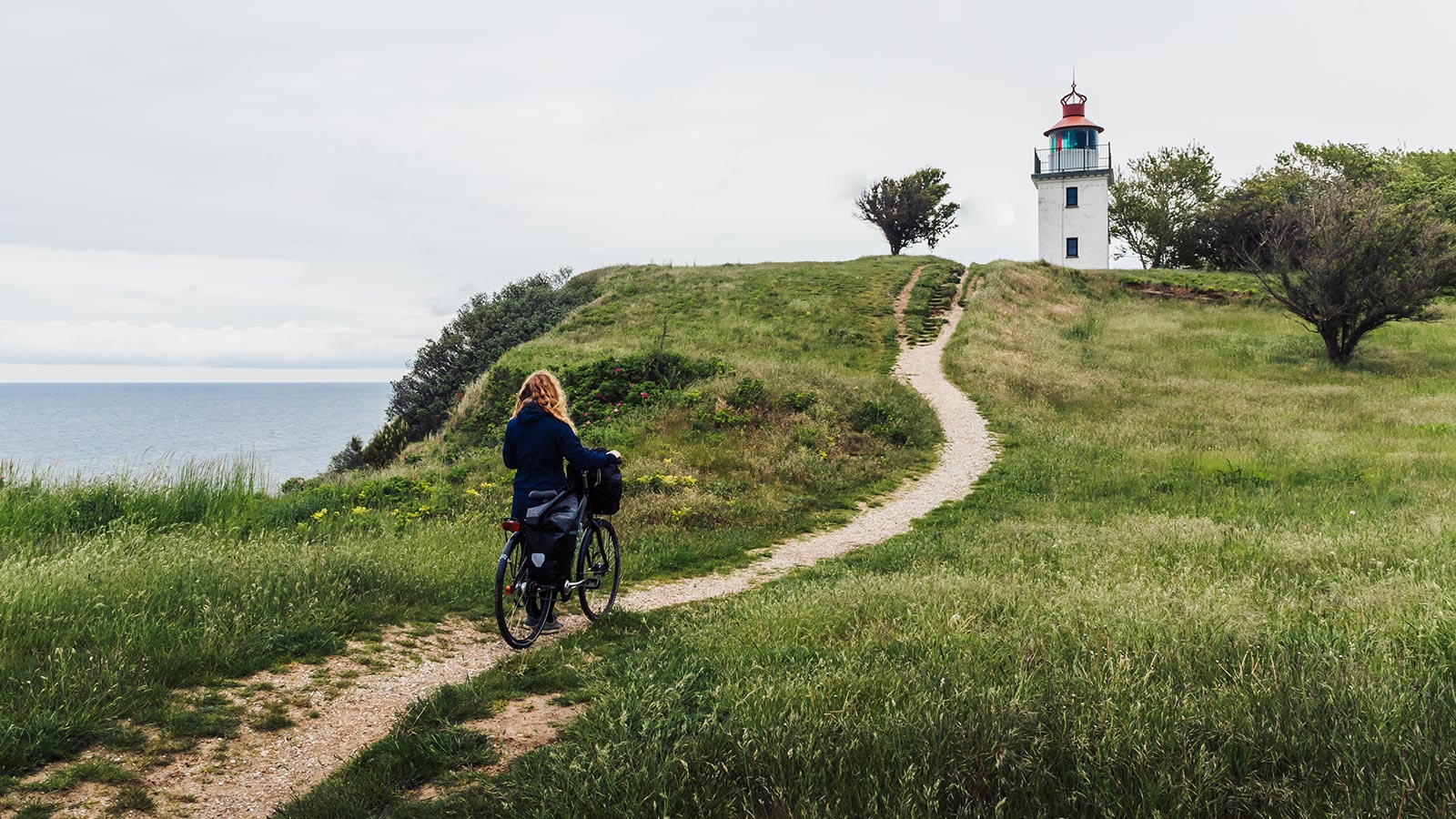 Kommunerne kan hente store gevinster ved at udbygge deres sti- og rutenetværk i naturen | Dansk ...