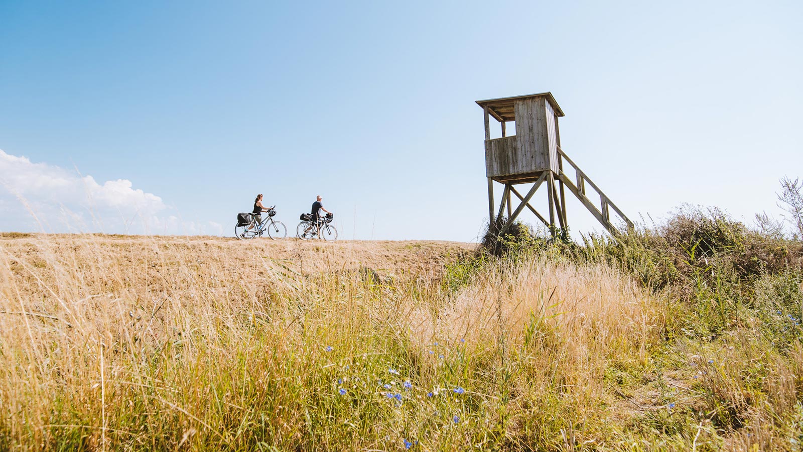 Fra vision til valuta: Strategiske planer baner vej for investeringer i kyst- og naturturismen ...